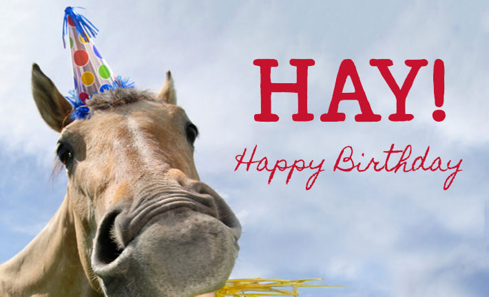 Boot Barn: Hay! Happy Birthday, - | Milled