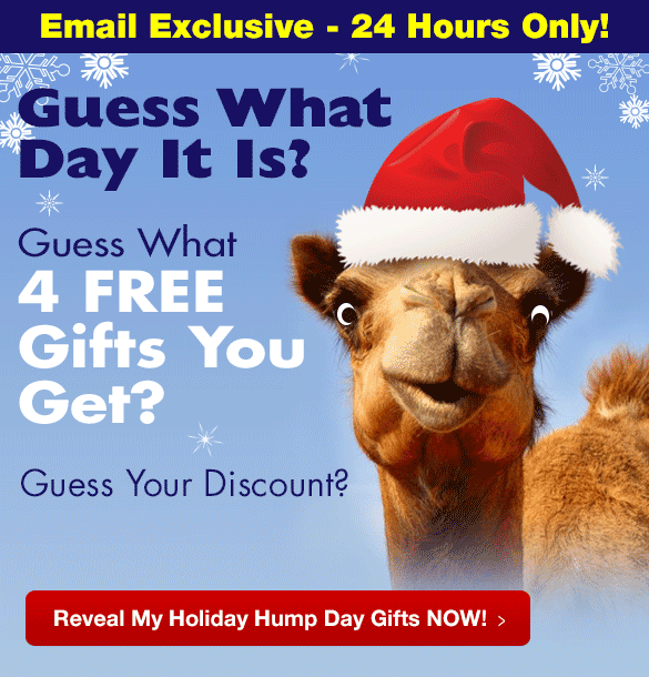 Camel Hump Day Christmas
