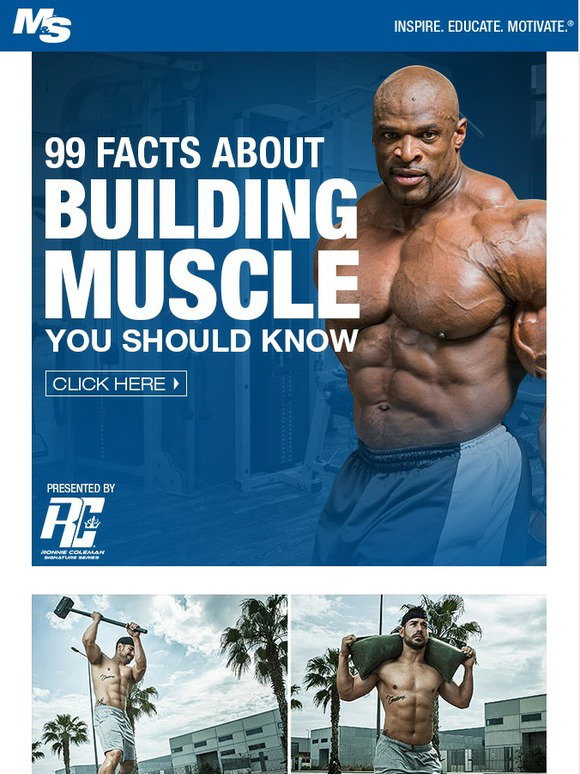 Muscle & Strength: 99 Facts About Building Muscle You Should Know | Milled