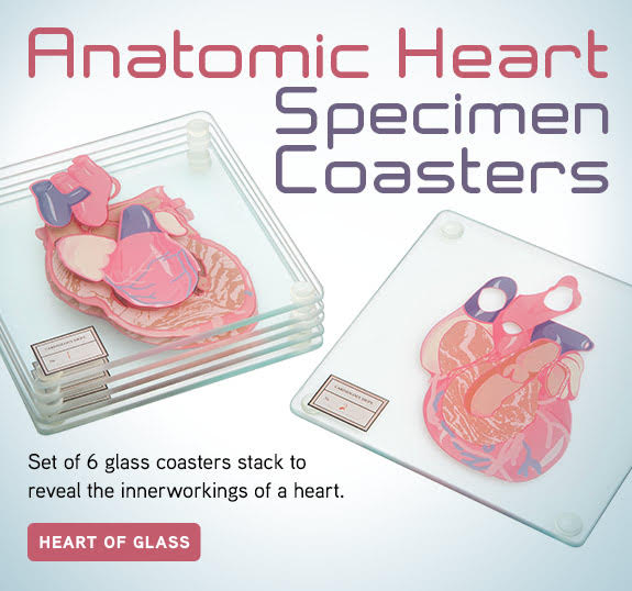 ThinkGeek: Wear your heart on your coffee table: new Anatomic Heart ...