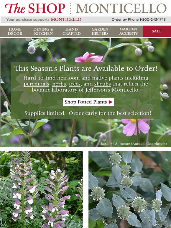 Monticello: The Online Nursery is Open! Shop New Perennials, Trees and ...