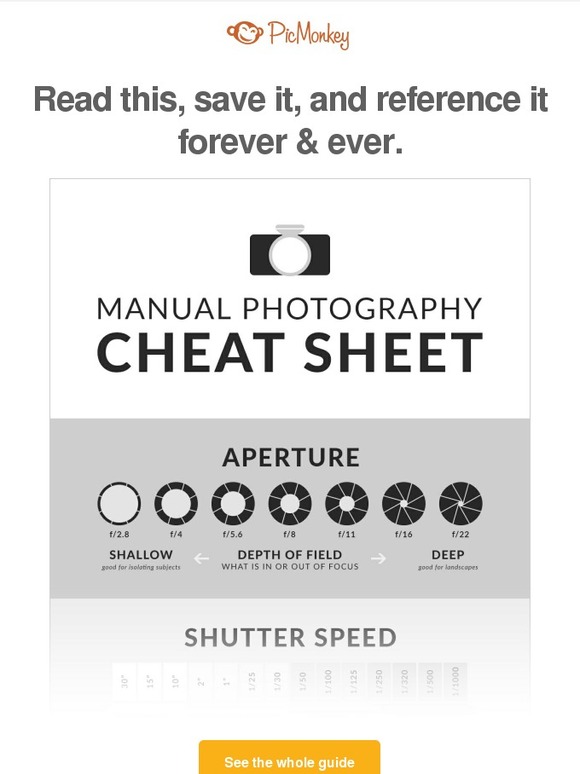 PicMonkey: Your ultimate photography cheat sheet | Milled