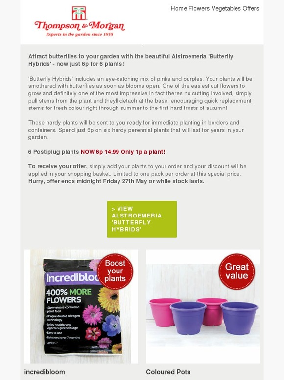 Thompson & Morgan: Alstroemeria 'Butterfly Hybrids' just 1p a plant ...