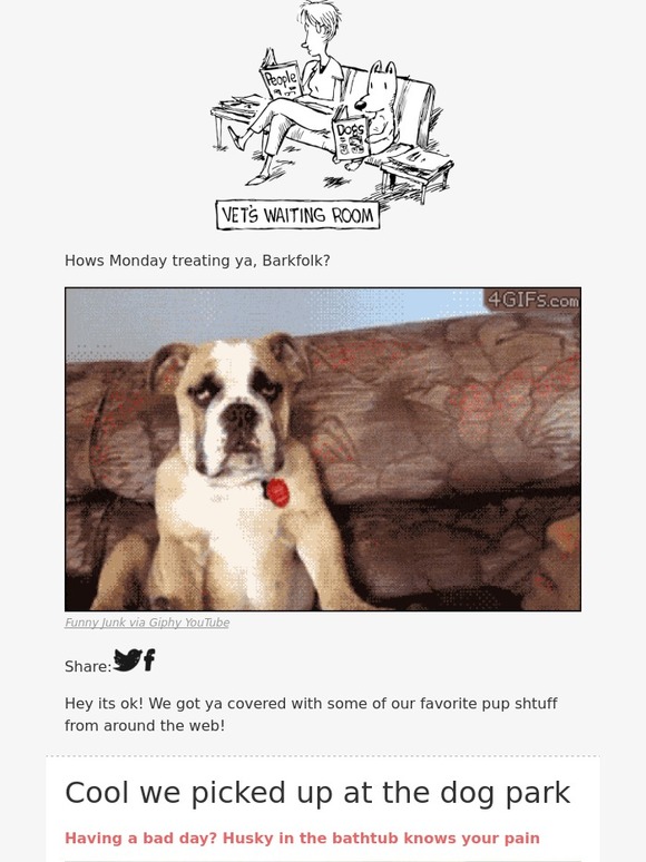 BarkBox: Does your dog "boof?" 🐶 | Milled