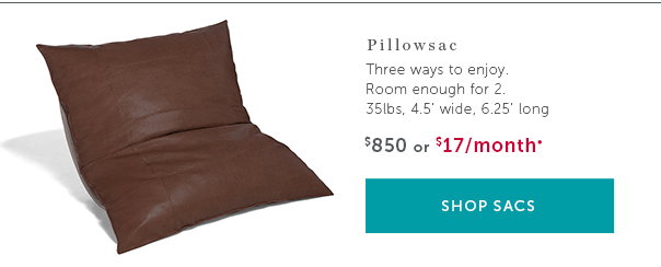 LoveSac: Leather Report: New Leather Sac Covers. | Milled