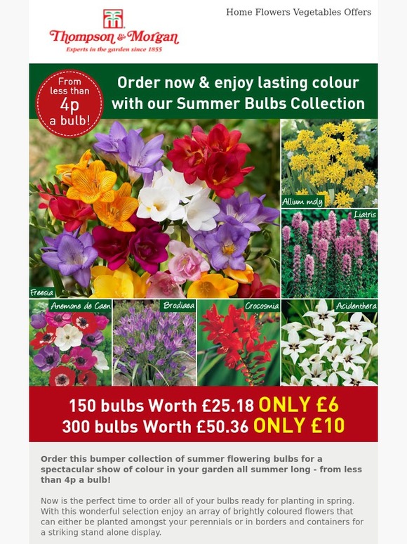Thompson & Morgan: 300 Summer Bulbs ONLY £10! | Milled