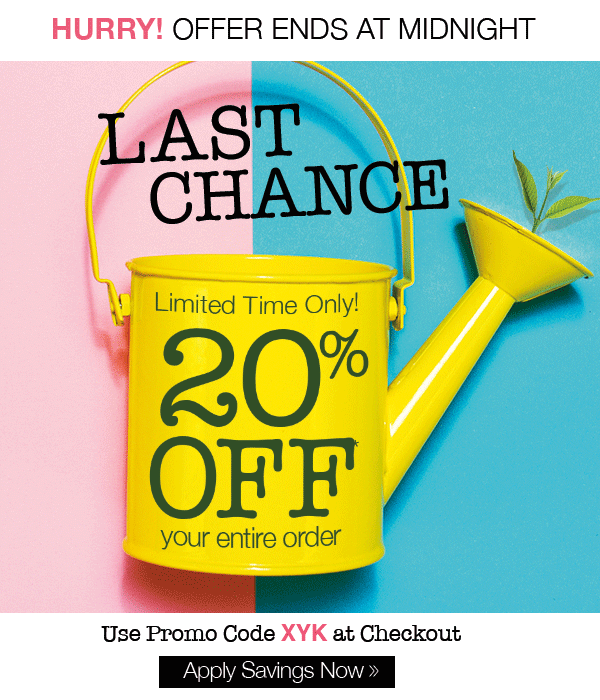 Haband: HURRY! Your Offer Ends Soon! | Milled