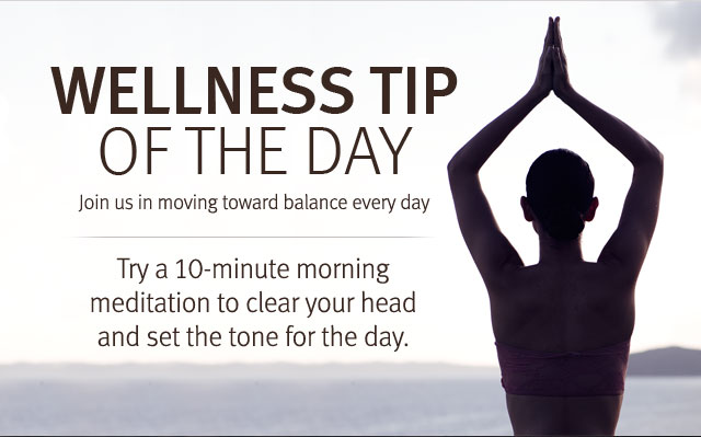 Aveda: Choose 4 Free + your wellness tip of the day | Milled