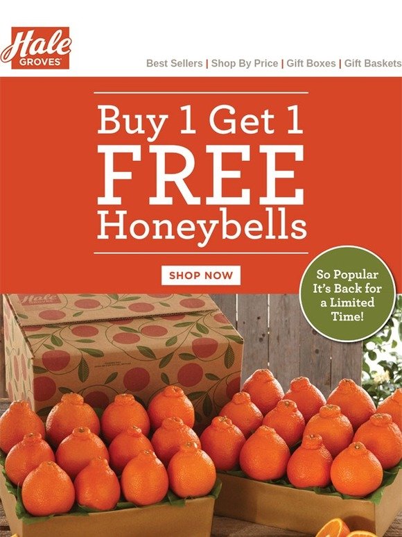 Hale Groves: Buy 1 Get 1 FREE for a Limited Time! | Milled