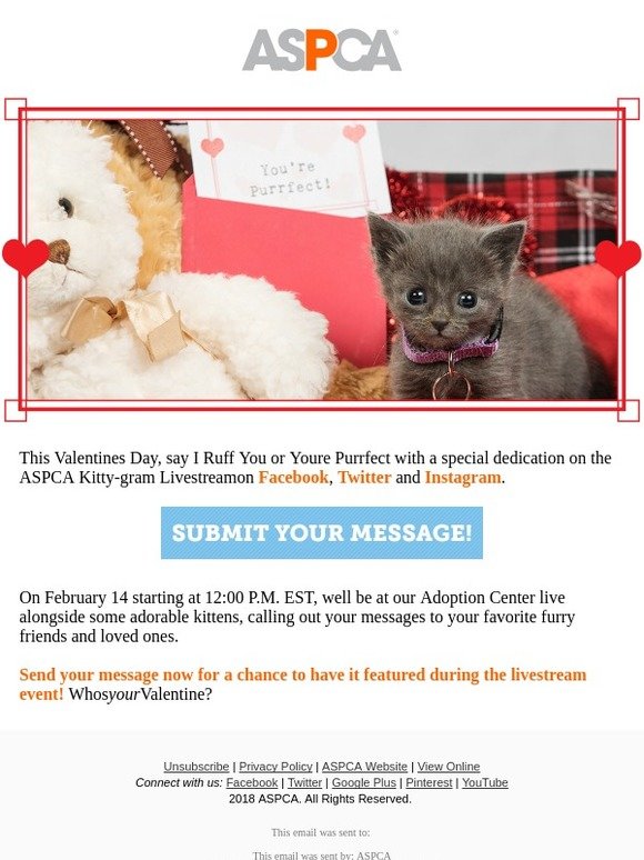 ASPCA: Send Your Kitty-gram Today! | Milled
