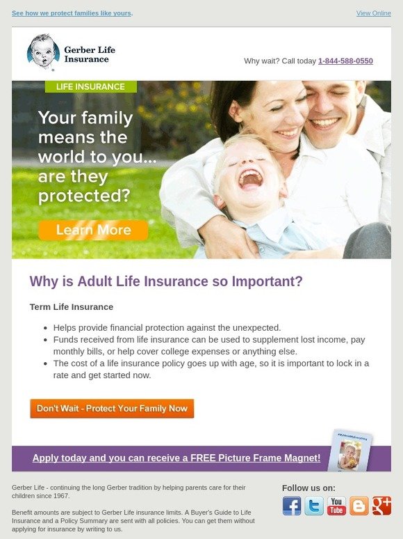 Gerber Life: Why is adult life insurance so important? | Milled