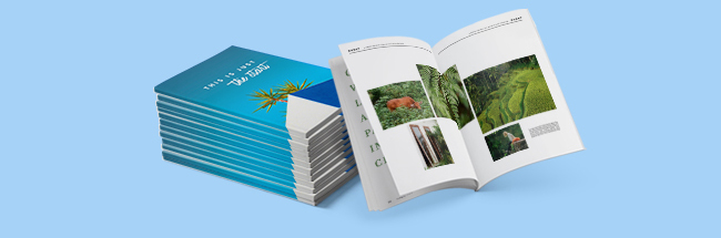 Blurb: Free Custom Templates, Picked for You | Milled