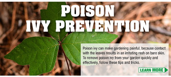 Menards: Prevent Poison Ivy | Milled