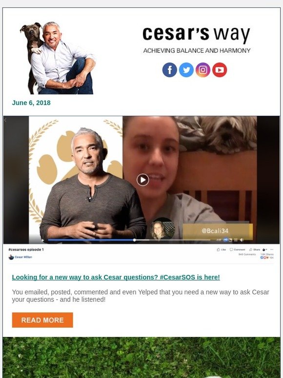 Cesar's Way: A New Way To Ask Cesar Your Questions | Milled