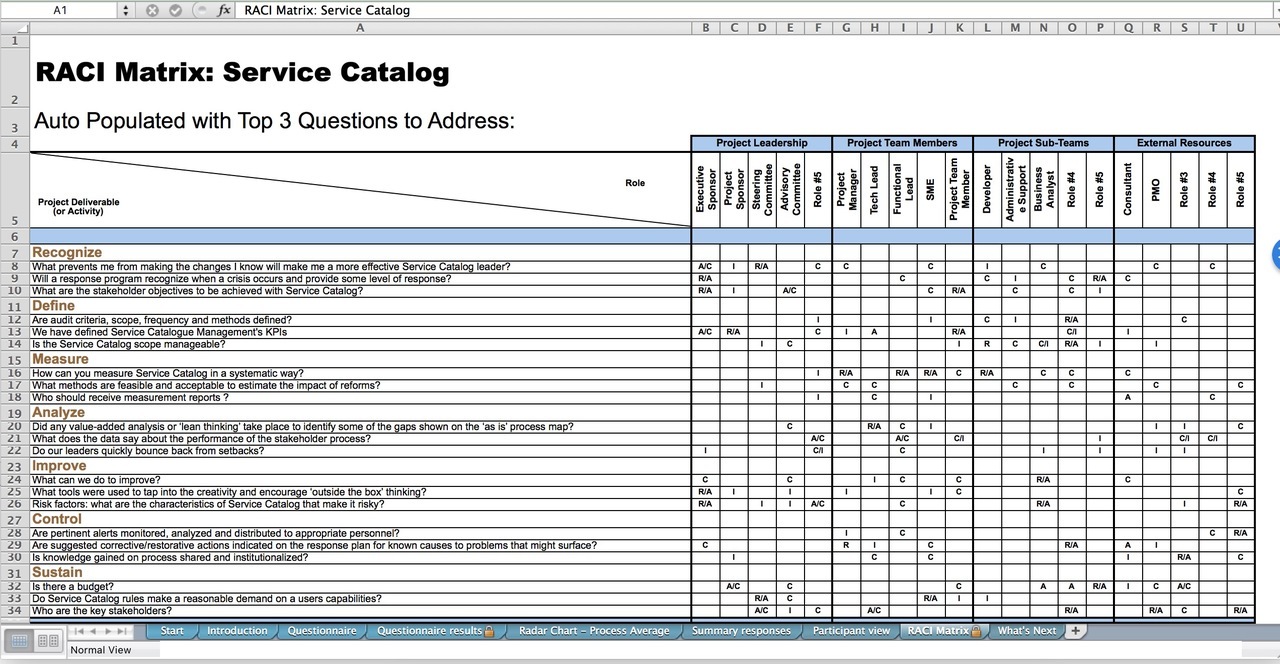 The Art of Service: Service catalog Standard Requirements: | Milled