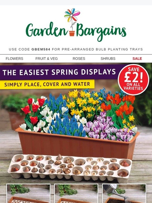 Garden Bargains: Save £2 On All Drop In Bulb Trays | Milled