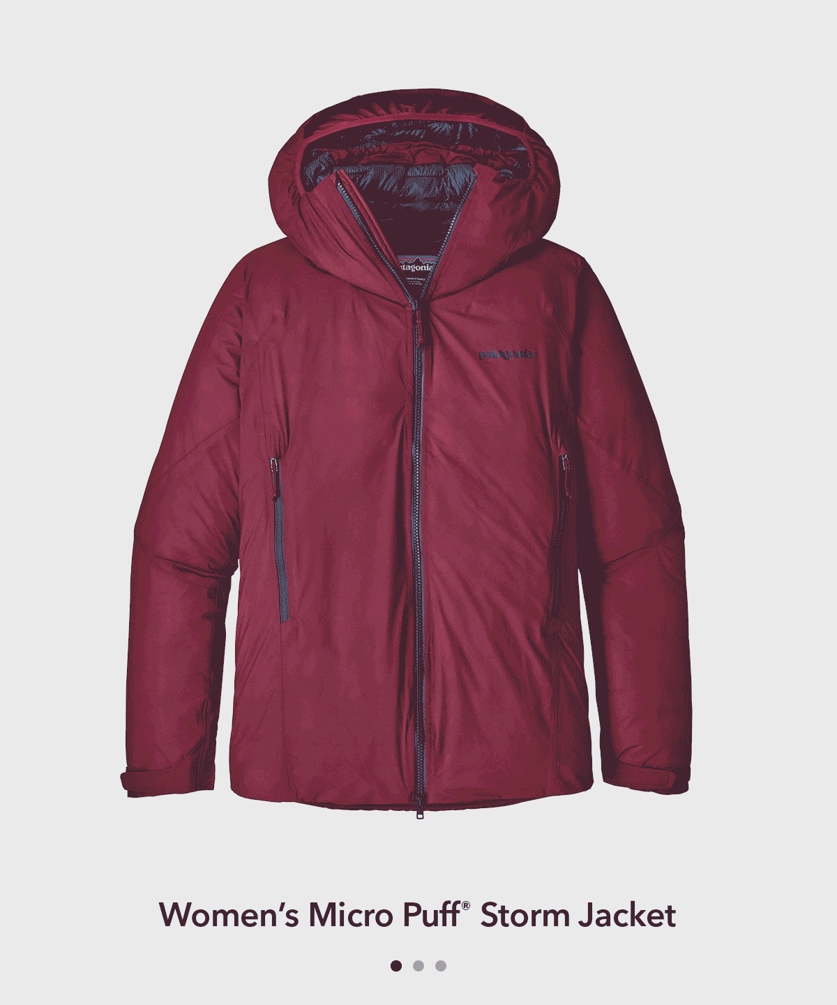 Patagonia: The Micro Puff Storm Jacket | Milled