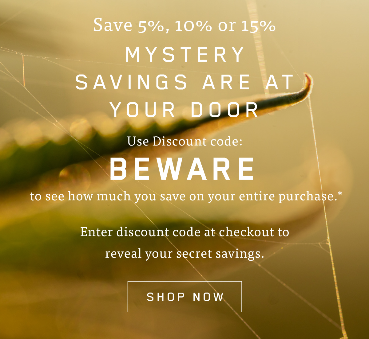 Charlotte's Web: The Mystery Sale is here! 5%, 10% or 15% off your ...