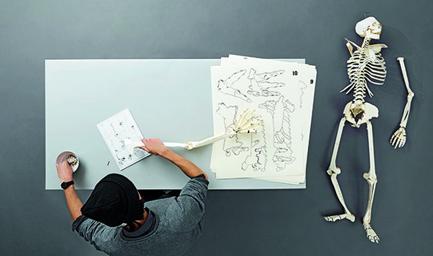 TASCHEN: Build your own life-size skeleton | Milled