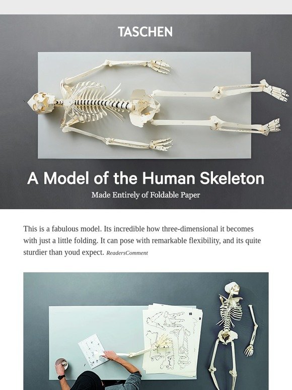 TASCHEN: Build your own life-size skeleton | Milled