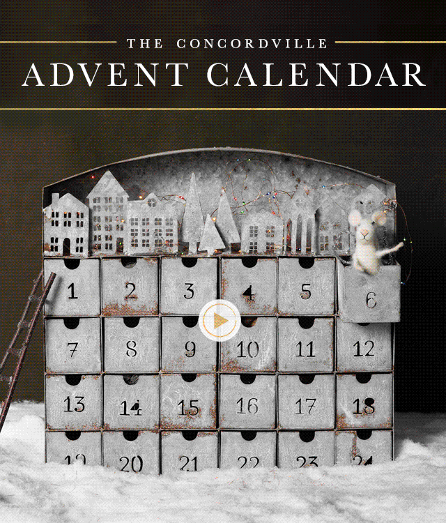 Terrain: An advent calendar to hold holiday magic. | Milled