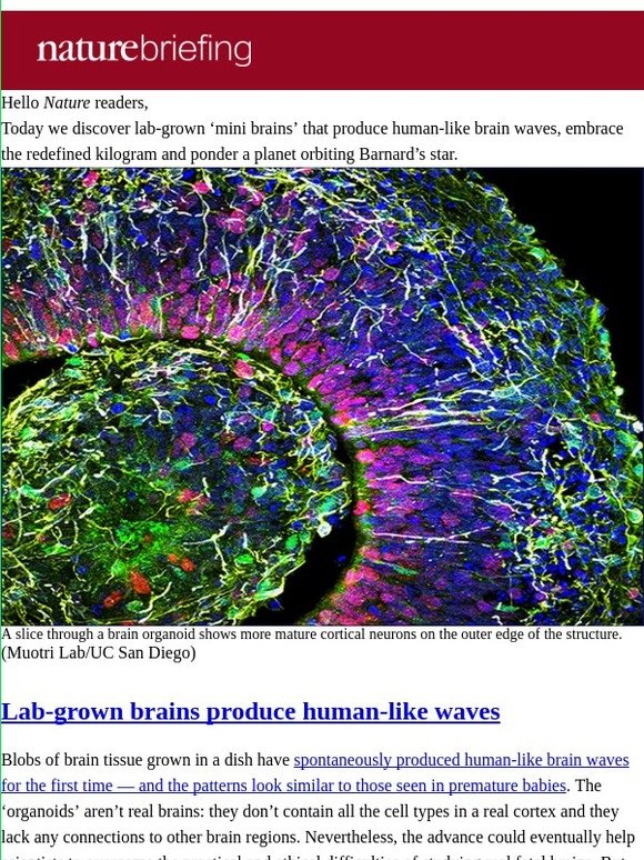 Nature: Lab-grown ‘mini brains’ produce electrical patterns that ...