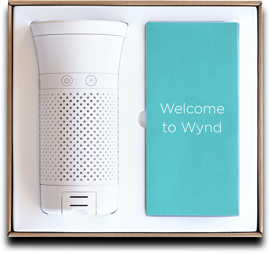 Wynd: Welcome to Wynd | Milled