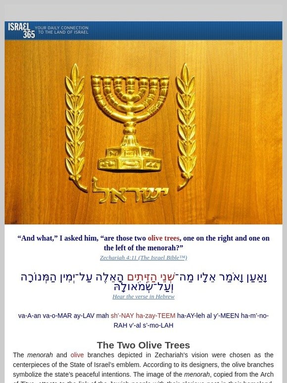 Israel365: The Two Olive Trees "One On The Right And One On The Left Of ...