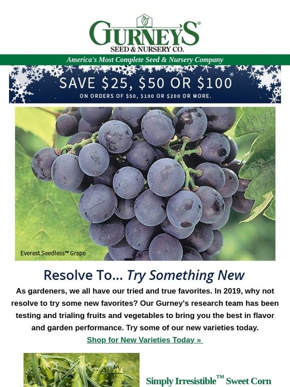 Gurneys Seed And Nursery In 2019 Resolve To Milled