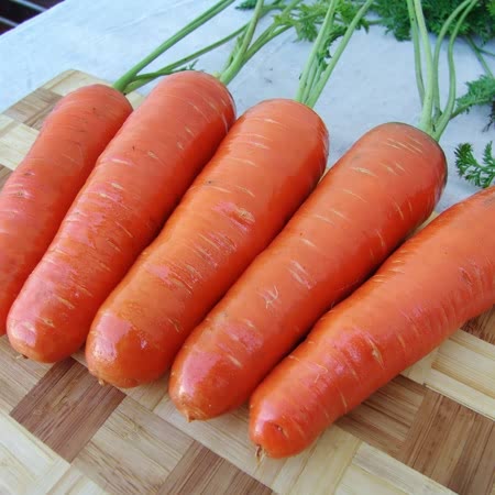 Marshalls Seeds: Exhibition-worthy varieties for champion vegetables ...