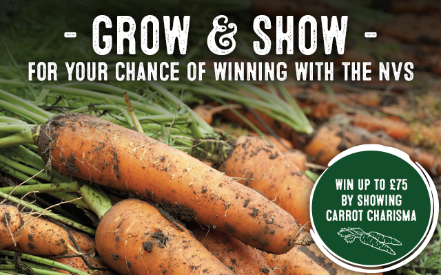 Marshalls Seeds: Exhibition-worthy varieties for champion vegetables ...