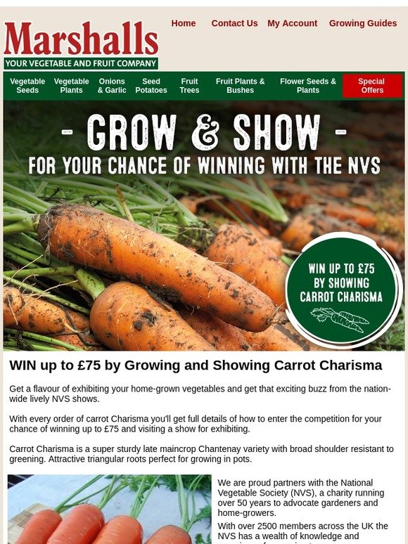 Marshalls Seeds: Exhibition-worthy varieties for champion vegetables ...