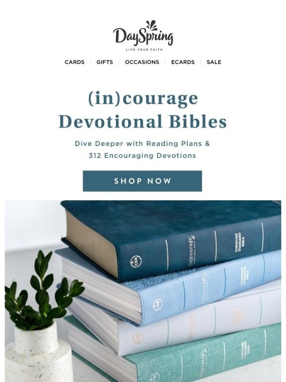 DaySpring: Dive Deeper into Scripture & Meet the Women of the Bible ...