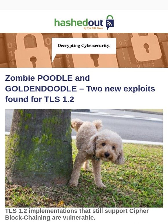 The SSL Store: Zombie POODLE and GOLDENDOODLE – Two new exploits found ...