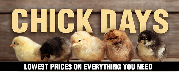 Rural King: 🐥 Chick Days Are Here! 🐥 | Milled