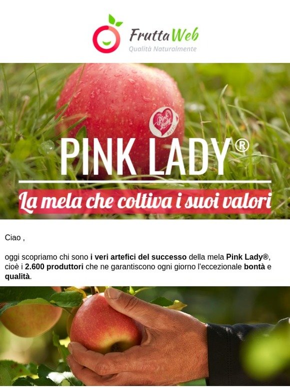 Almaverde Bio: Scopri gli artefici del successo della mela Pink Lady ...