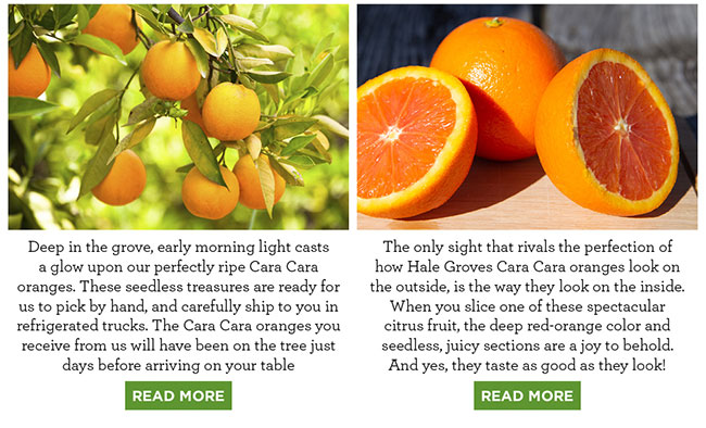 Hale Groves: A Look Inside the Groves – March Hale Groves Update | Milled