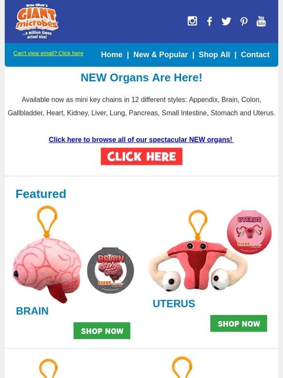 GIANTmicrobes: NEW GIANTmicrobes Organs are Here! | Milled