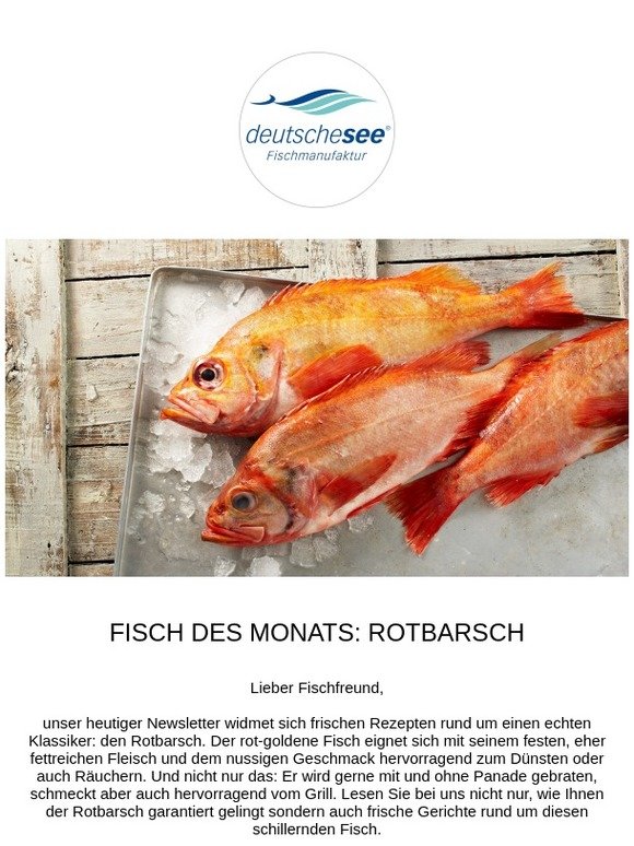 Deutsche See: 🐟 Der Rotbarsch - unser Fisch des Monats ️ | Milled