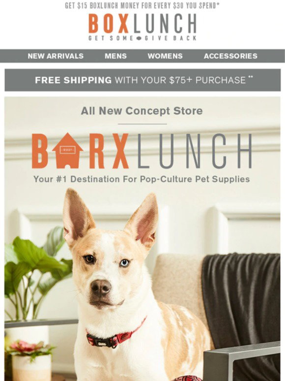 BoxLunch: Introducing BarxLunch, our new concept store! 🐶🐱 | Milled