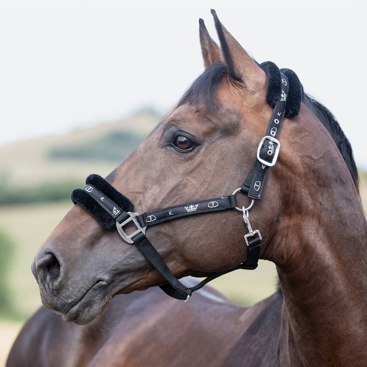 Horze Equestrian: 🔶 Improve the quality of life for you and your horse ...