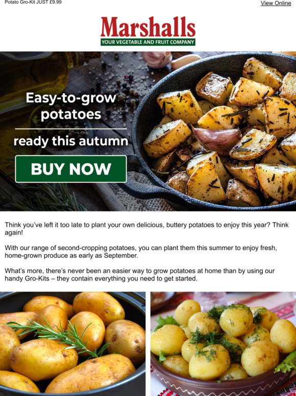 Marshalls Seeds: Late-cropping potato kits from only £9.99 | Milled