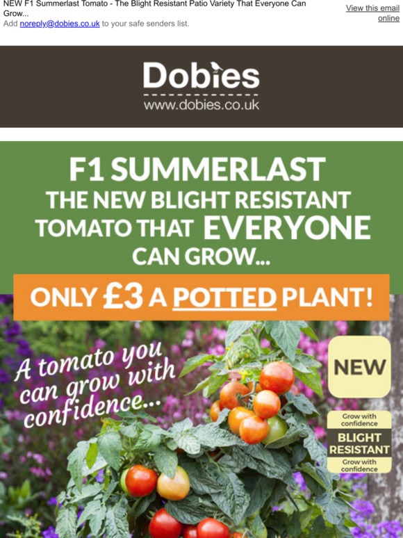 Dobies: Blight Resistant Tomatoes Only £3 A Plant! | Milled