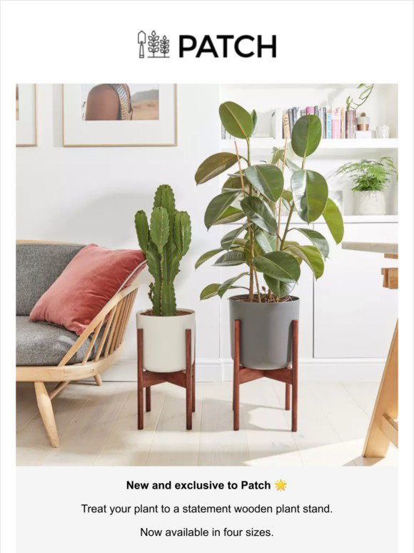 Patch Plants: New plant stands & your chance to win £500 🤗 | Milled