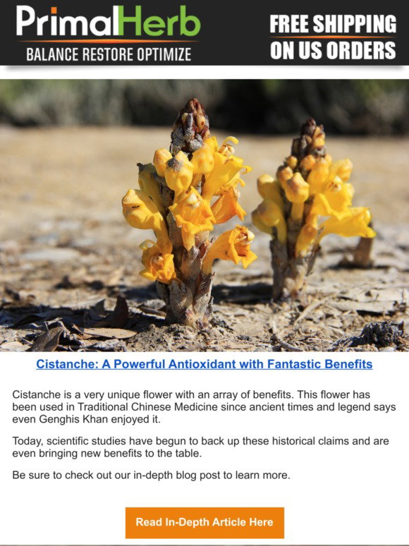 Primal Herb: Cistanche: A Powerful Antioxidant with Fantastic Benefits ...