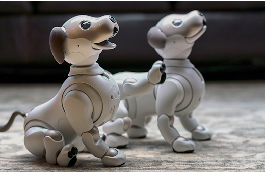 Sony: It's Cute, It's Playful, It's Smart—Here's aibo | Milled