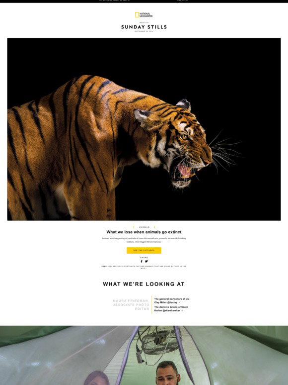 National Geographic: Sunday Stills: What we lose when animals go ...