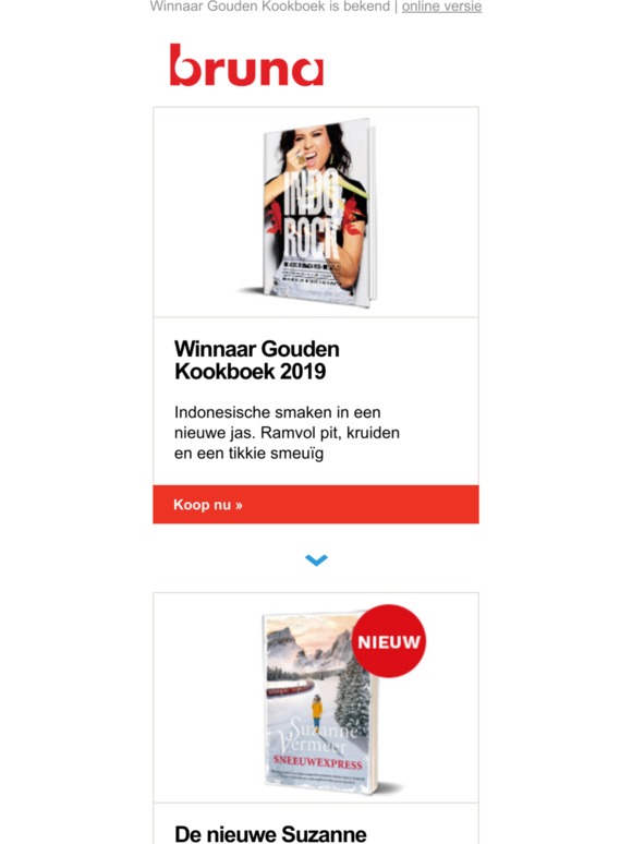 Bruna: Nieuwe boeken van Suzanne Vermeer, David Baldacci en Geert Mak ...