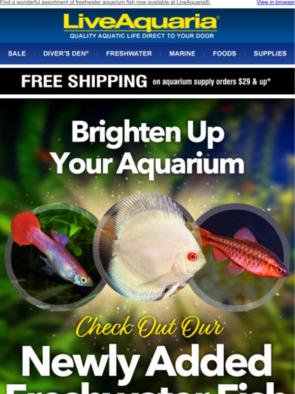 LiveAquaria: Freshen Up Your Aquarium with New Freshwater Fish | Milled