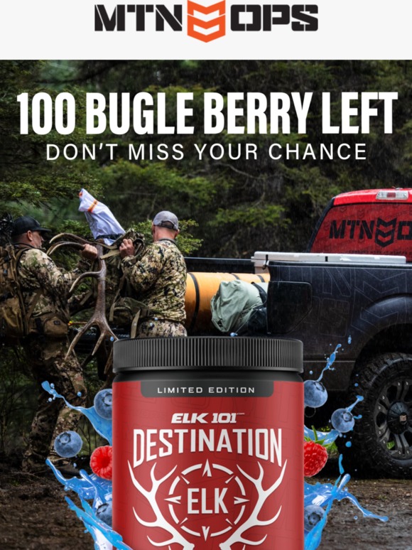 MTN OPS: Only 100 Bugle Berry IGNITE Left [Don't miss out] | Milled